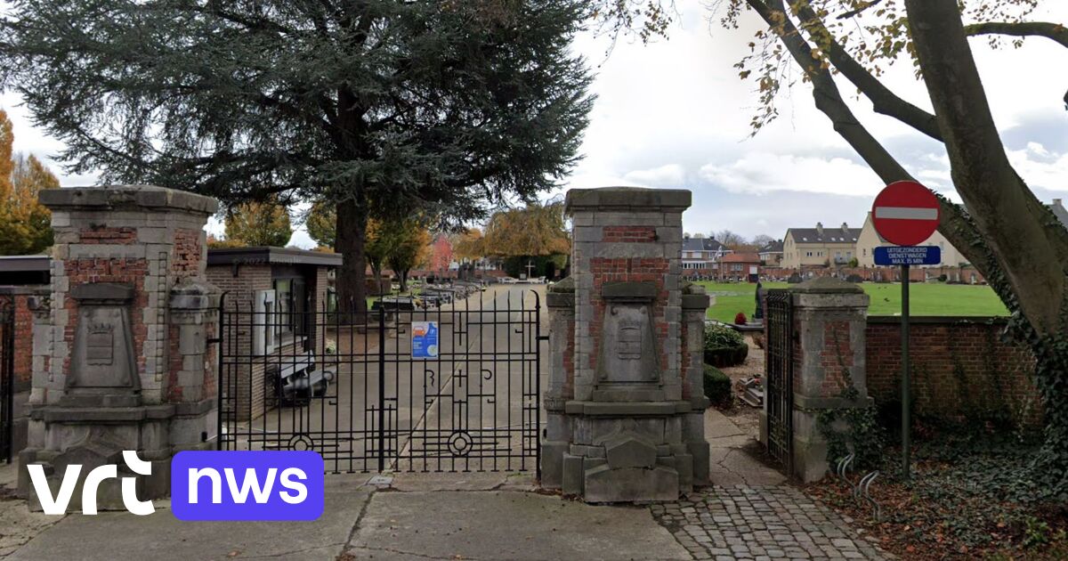 Schepen voor Dierenwelzijn wil dierenbegraafplaats in Diest: "Ze maken ...