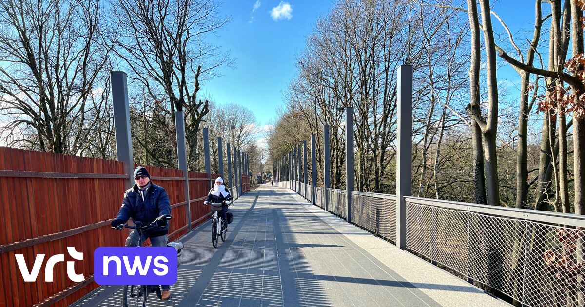 Fietsbrug over Noord-Zuidverbinding in Houthalen-Helchteren geopend | VRT NWS: nieuws