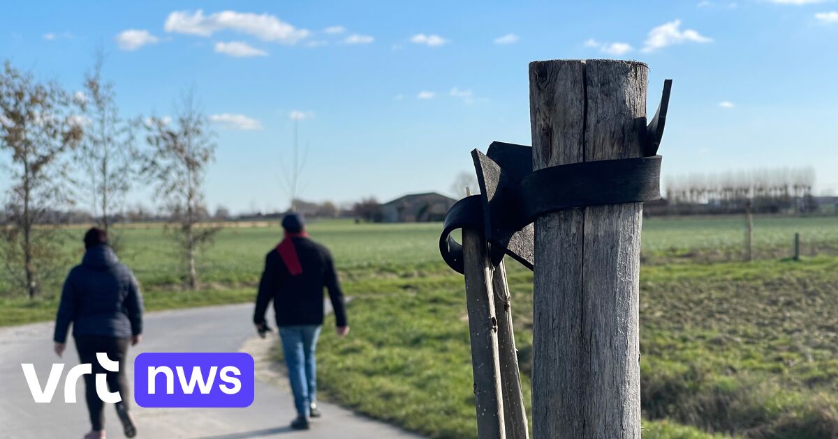 Twintigtal Jonge Boompjes Afgekraakt In Vleteren Vrt Nws Nieuws