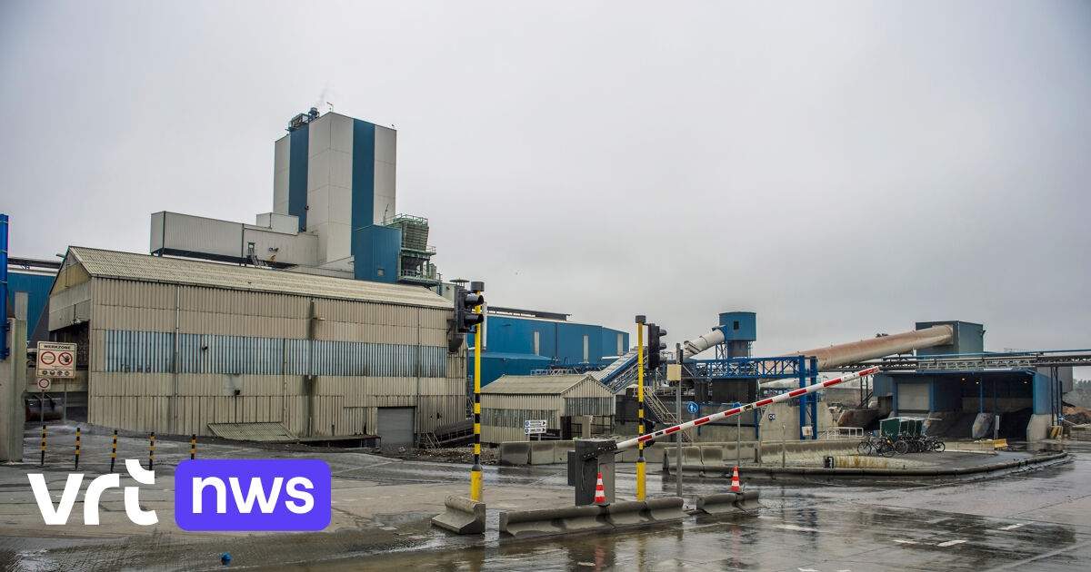 Nooit zo weinig lood in bloed bij kinderen rond Umicore in Hoboken, maar waarden blijven te hoog ...