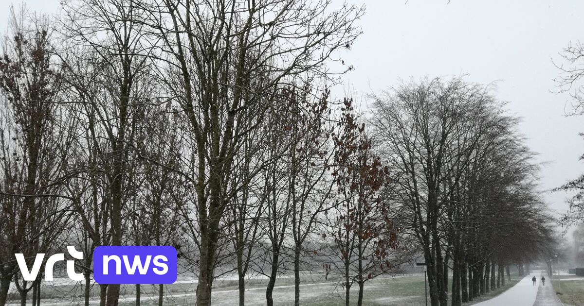 Het VRT NWS nieuws uit regio Diepenbeek | VRT NWS Nieuws