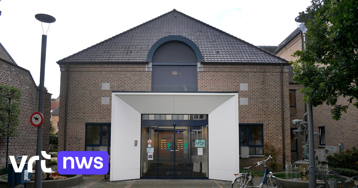 Het VRT NWS nieuws uit regio Maaseik | VRT NWS Nieuws