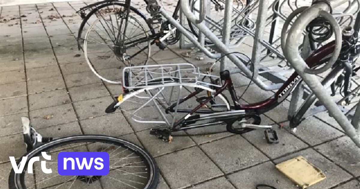 Bewakingscamera aan station Zolder moet plaag van fietsendiefstallen en ...