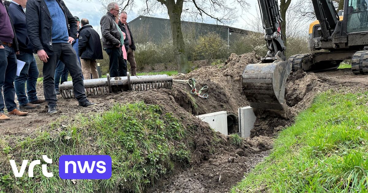 Boeren in Bocholt experimenteren met stuwen in grachten om velden beter ...