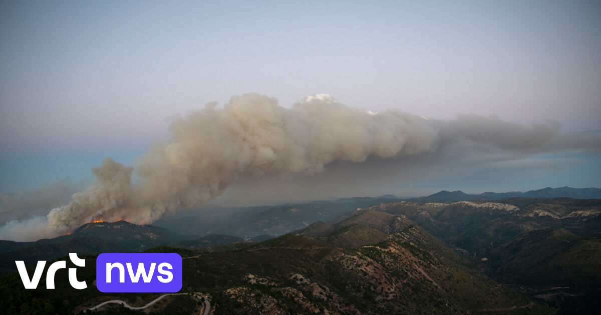 700 brandweerlieden bestrijden in Spanje de eerste grote bosbrand van ...