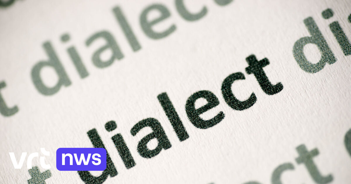 Van "potepetazzie" tot "gildig": dit zijn de 5 opvallendste Vlaamse ...