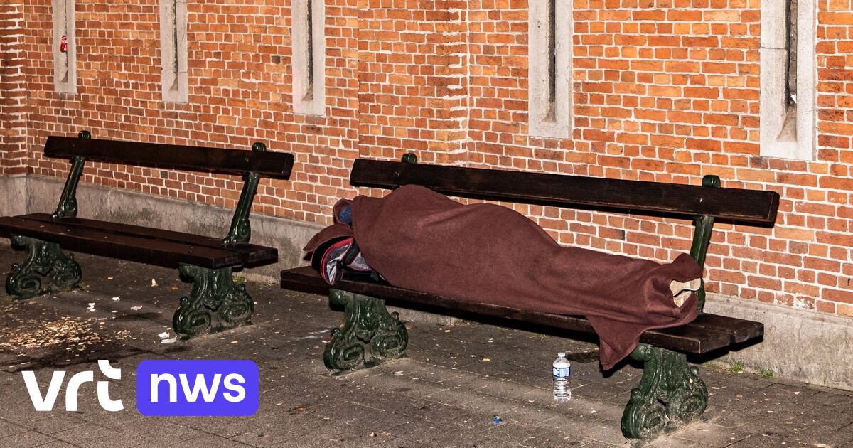 Extra teams van CAW begeleiden daklozen naar winteropvang in Antwerpen ...