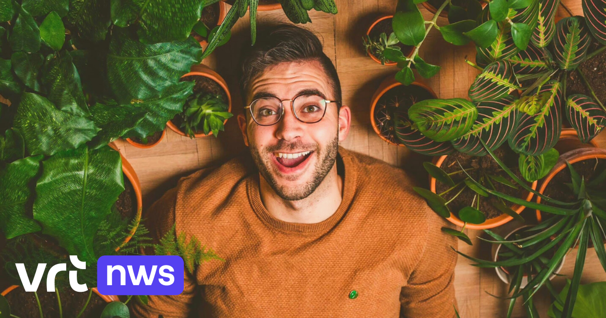 Kamerplanten zijn het nieuwe goud: "30 euro voor een stekje met twee ...