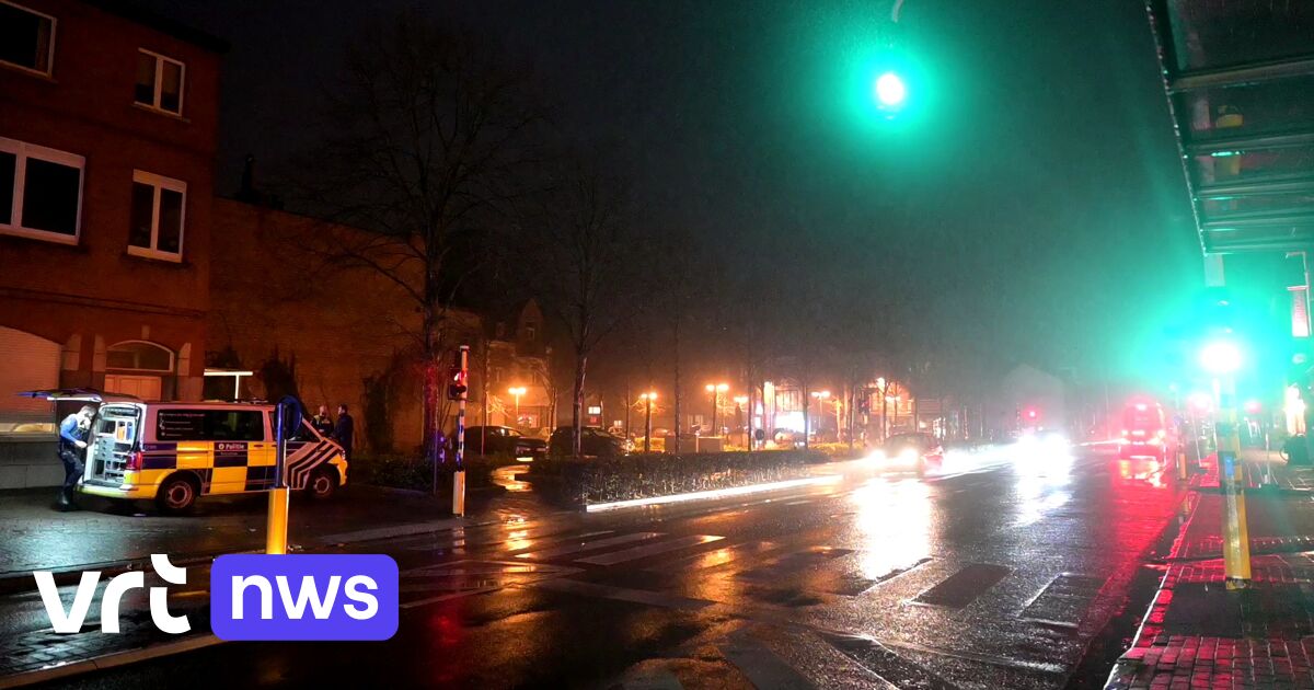 Meisje dat levensgevaarlijk gewond raakte in Brasschaat is overleden ...