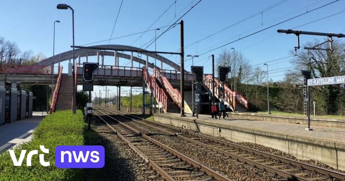 De brug over het station in Sint-Katelijne-Waver wordt binnen de tien jaar vervangen door een ...