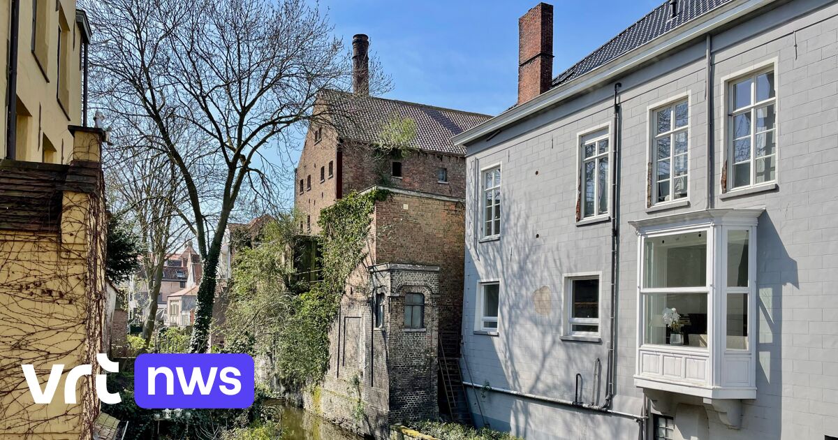 Rode Duivel Charles De Ketelaere heeft b(r)ouwplannen: hij kocht een ...