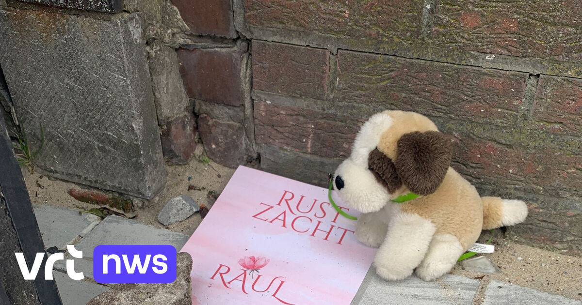 Missing child now found dead stayed under the radar for months in Ghent ...