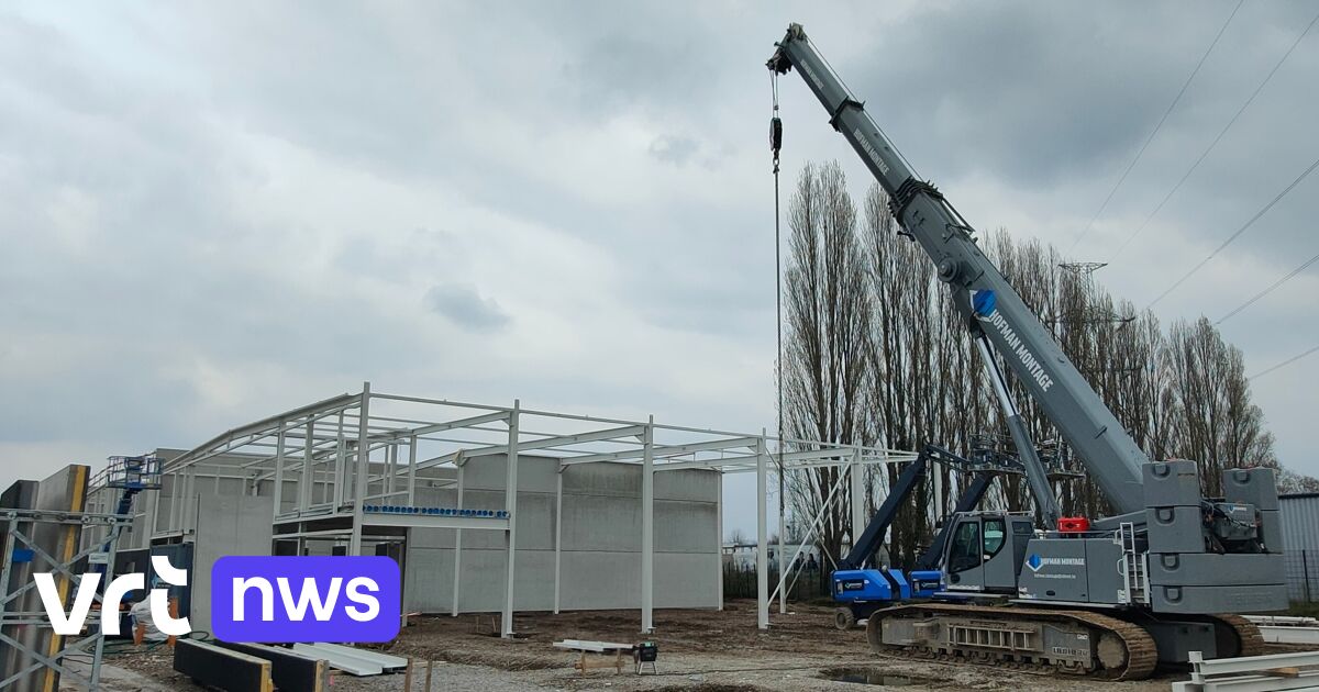 Maatwerkbedrijf AMAB bouwt nieuwe vestiging in Huizingen: "Aangenamer en veiliger werken voor ...