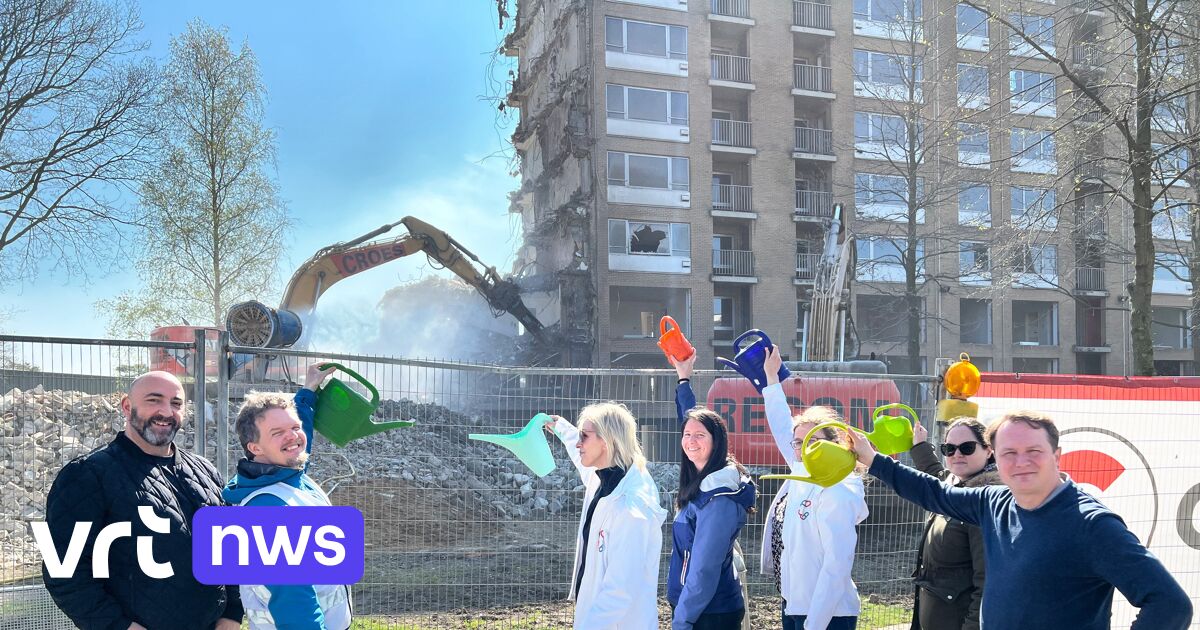 PVDA voert actie tijdens sloopwerken in Genkse wijk Kolderbos: "We ...