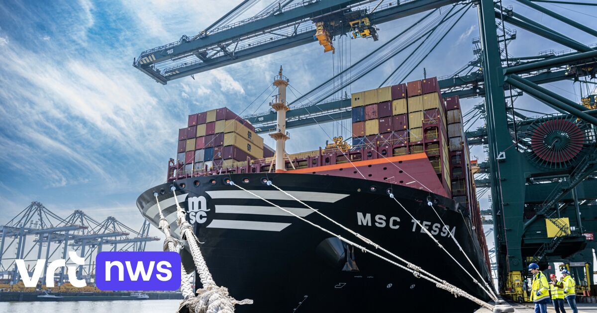 Loods Dirk Terloo begeleidt reusachtige containerschepen naar de haven ...