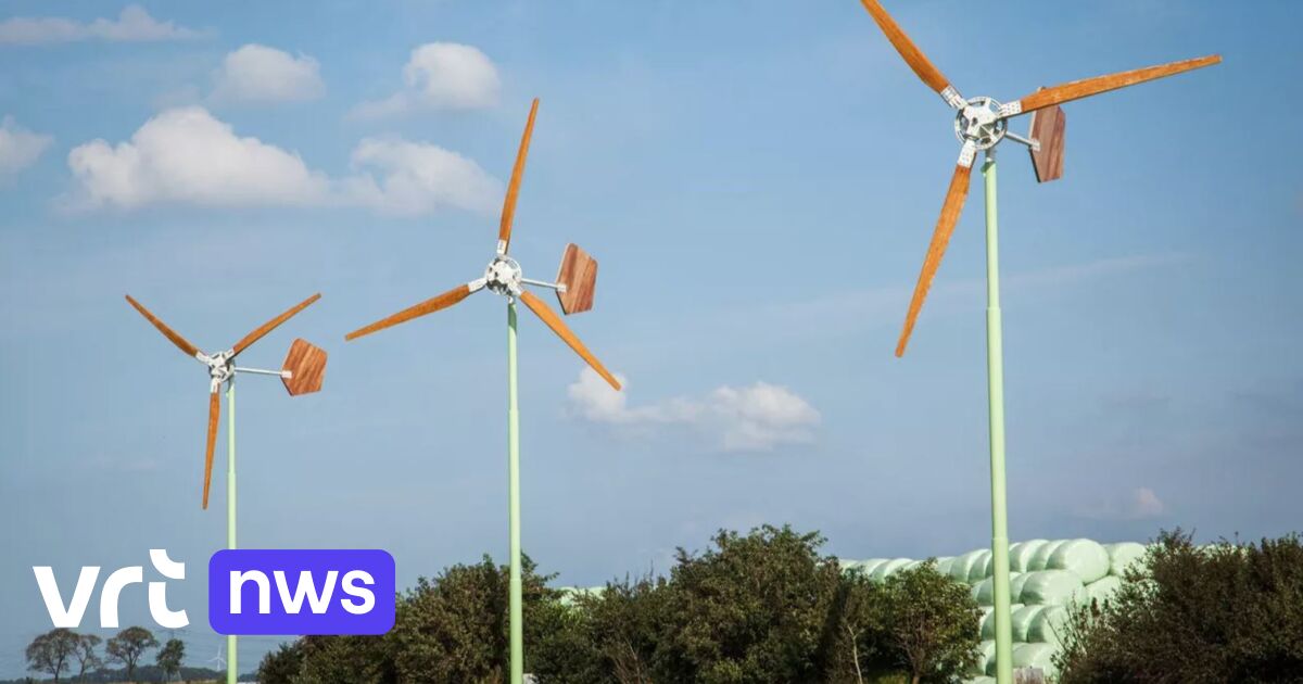 Bedrijven in Sint-Laureins mogen kleine windmolen plaatsen: "Maximum 21 ...