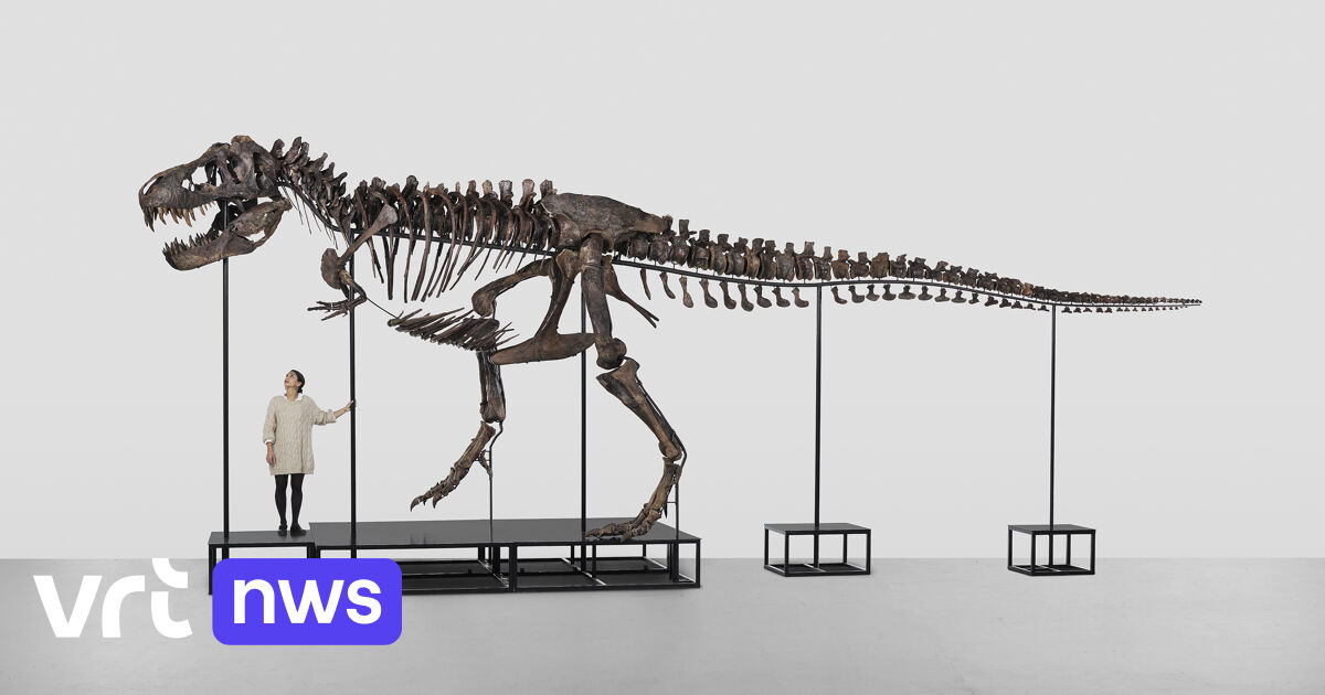 T. rex Trinity van Fernand Huts verhuist tijdelijk van Zwitserland naar museum in Denemarken ...