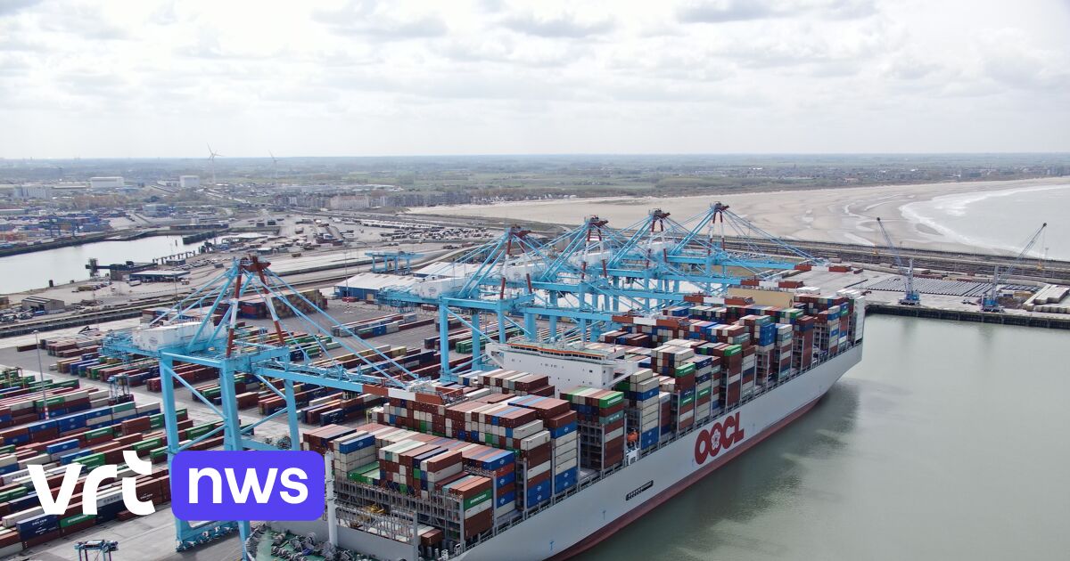 Grootste containerschip ooit in ons land (voorlopig) meert aan in ...