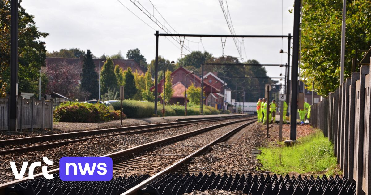Opnieuw treinen tussen Antwerpen, Limburg en de Kempen, hinder stilaan ...