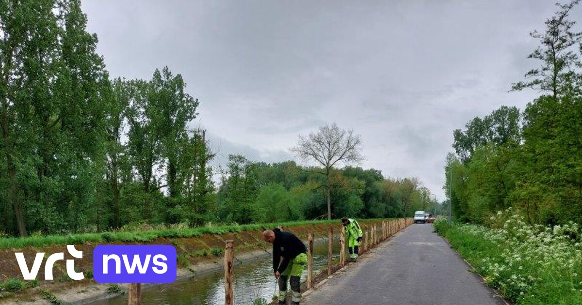Zemst plaatst extra hekken langs aftakking van fietspad langs Zenne ...