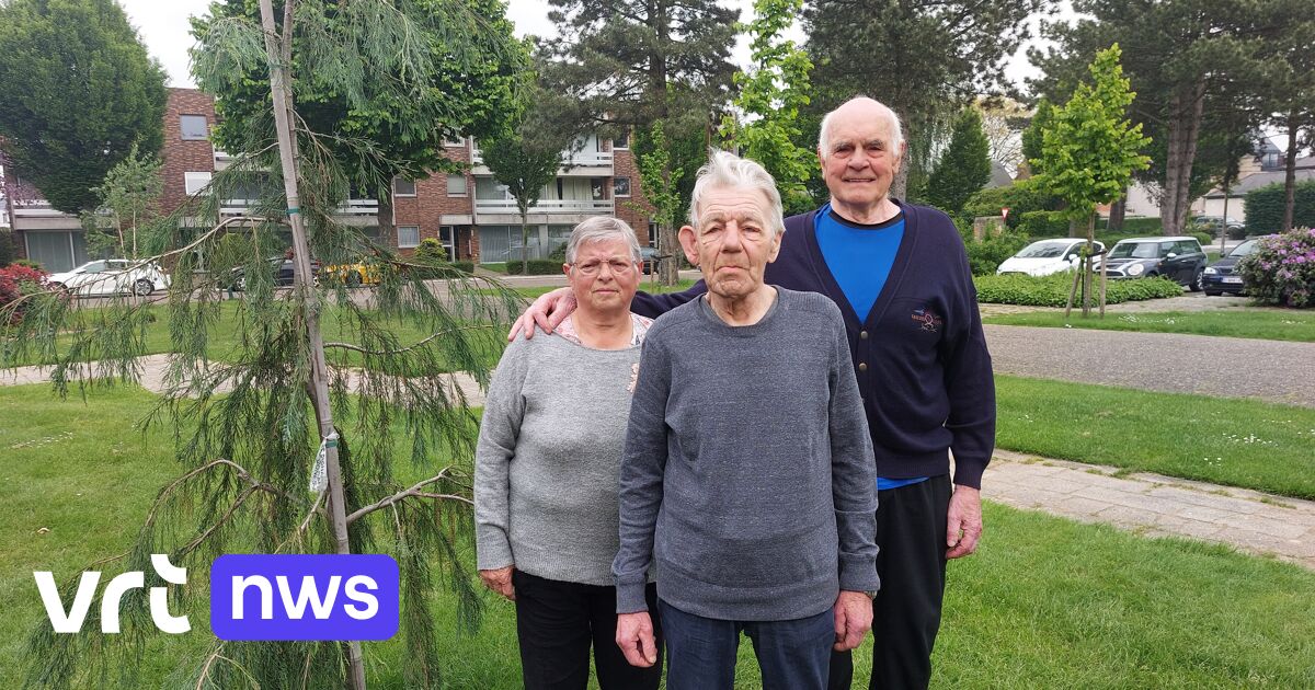 Willy en Chris uit Geel gehuldigd voor 50 jaar thuisopvang van ...