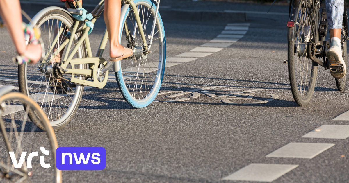 Fiets van 18-jarig meisje gestolen na botsing met auto in Diepenbeek ...