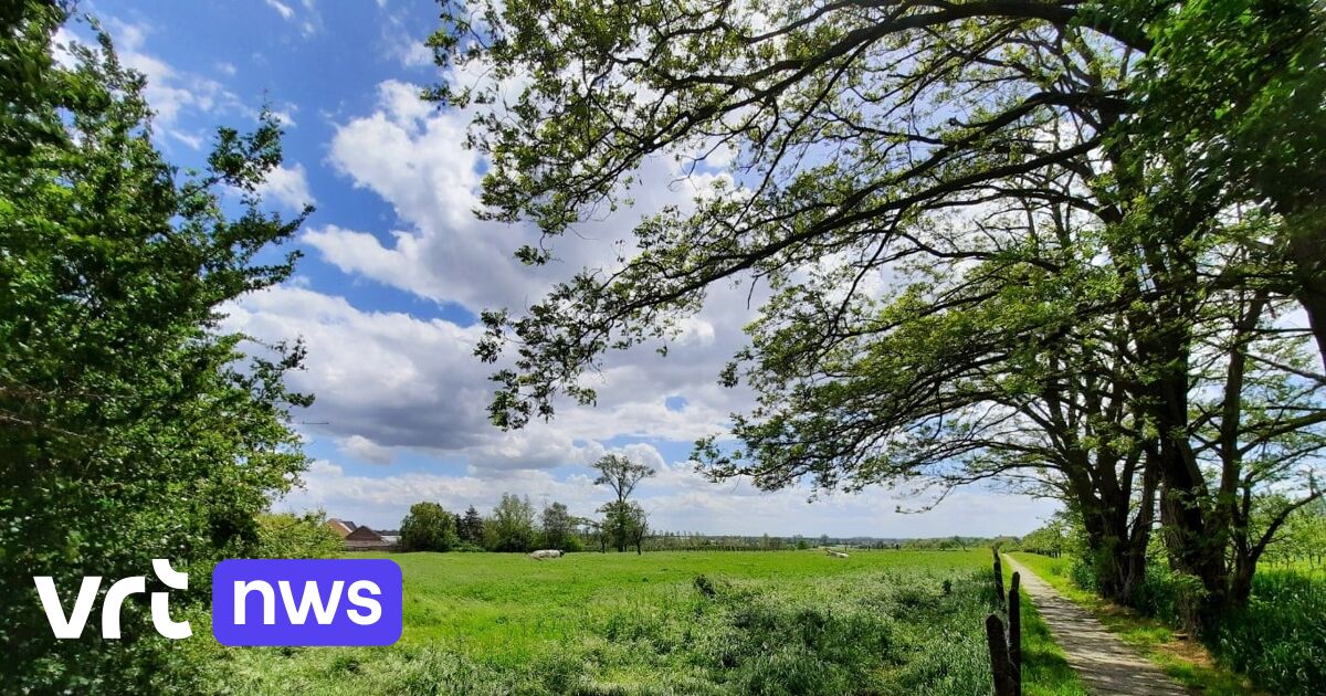 HAHAHA-wandelroute in Geetbets brengt je aan het lachen | VRT NWS: nieuws