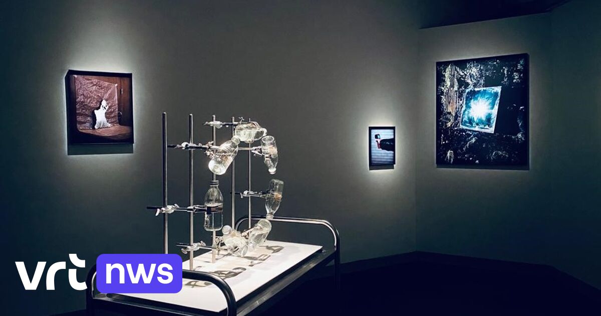 "Tell All The Truth But Tell It Slant”: art et sciences s’allient pour ...