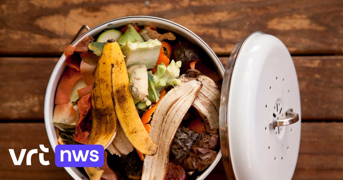 Vanaf volgend jaar moet voedselafval verplicht bij gft of bij de ...