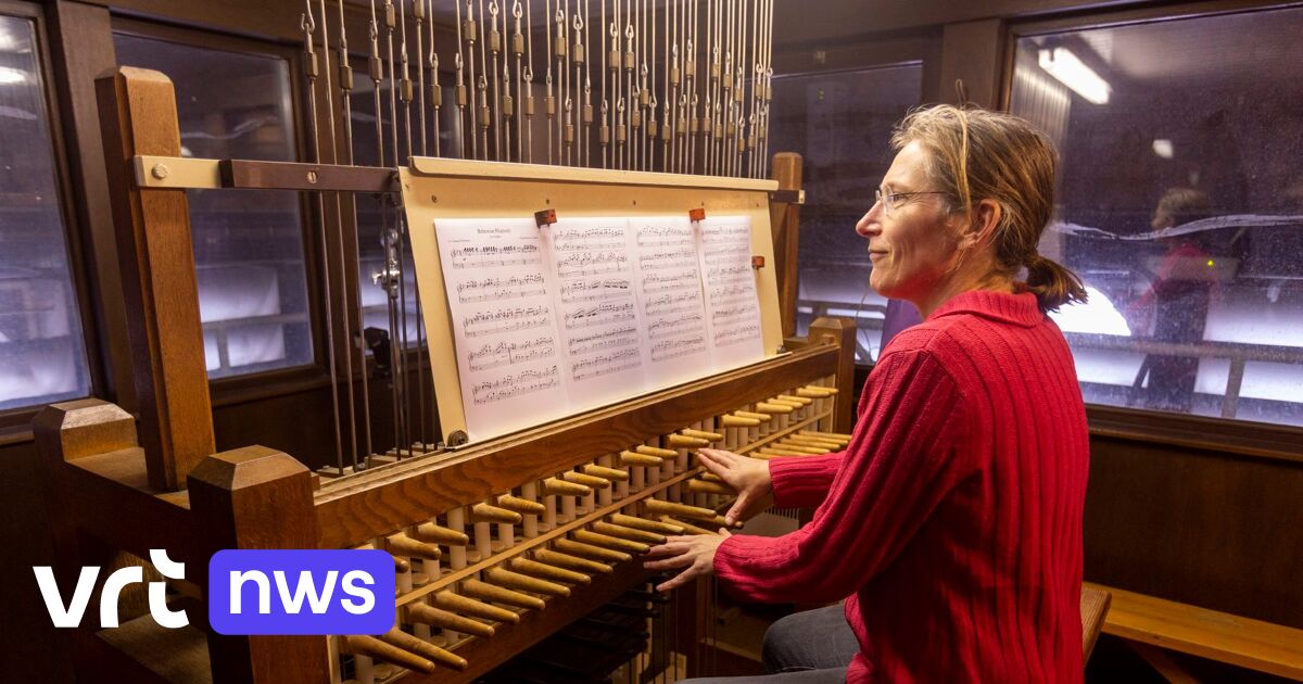 Genk zoekt 10 inwoners die beiaard willen bespelen | VRT NWS: nieuws