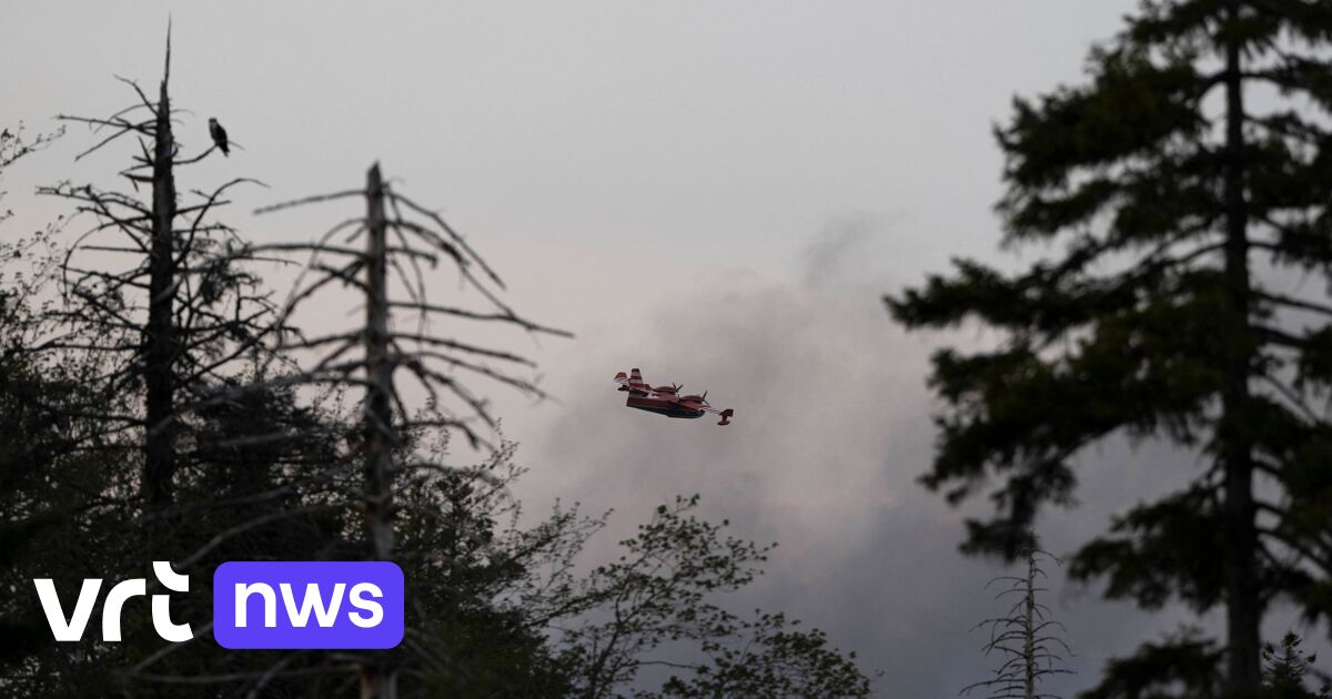 16.000 mensen geëvacueerd na zware bosbranden in Oost-Canada | VRT NWS ...