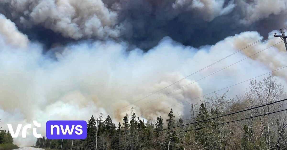 Regen steekt handje toe bij bestrijding bosbrand in oosten van Canada ...