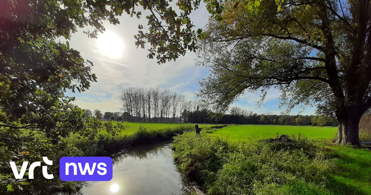 Rivier de Aa krijgt opnieuw kronkelend traject om fauna en flora te ...