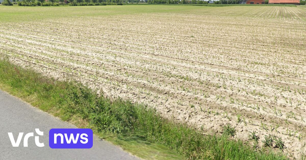Dan toch geen bedrijventerrein bij wijk De Mol met dank aan... Ventilus ... Dan toch geen bedrijventerrein bij wijk De Mol met dank aan... Ventilus ...