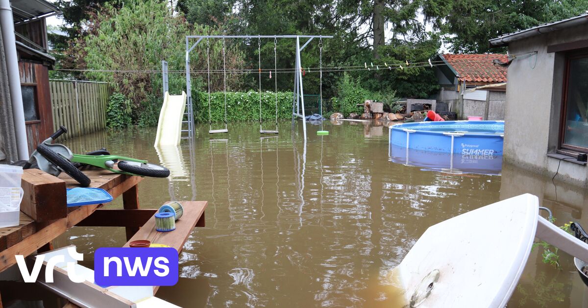 Extra overstromingsgebieden in Halen en Herk-de-Stad moeten ...