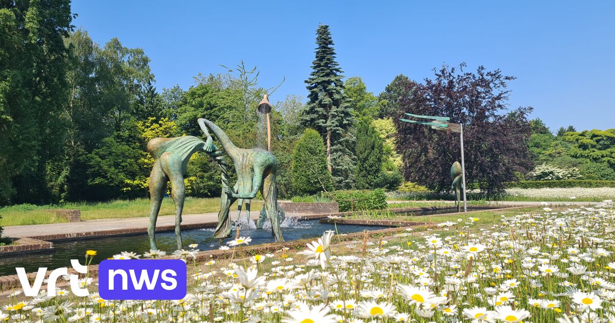 Openluchtmuseum Middelheim stelt nieuwe fontein voor en verplaatst beelden | VRT NWS: nieuws