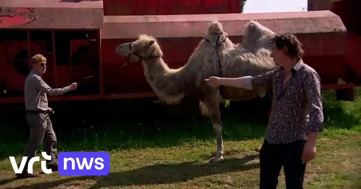 Een dagje op de filmset van "Waarom Wettelen" met debuterend regisseur ...