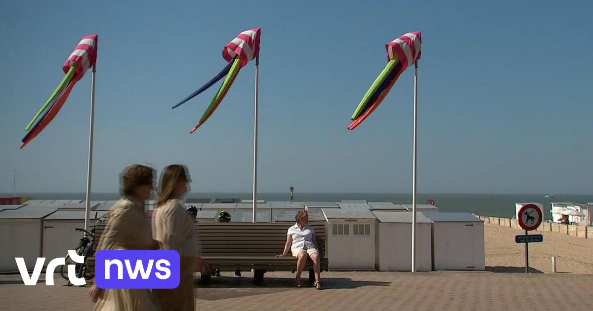 Plannen voor golfterrein ontketenen golfoorlog in Knokke: "Dit betekent ...