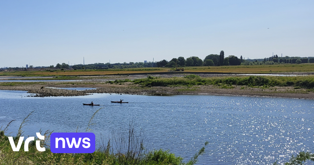 Kajakken op de Maas kan nog, ondanks aanhoudende droogte | VRT NWS: nieuws