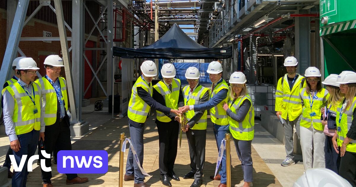 Chemiebedrijf Oleon in Oelegem verduurzaamt: "Grondstoffen voor voeding ...