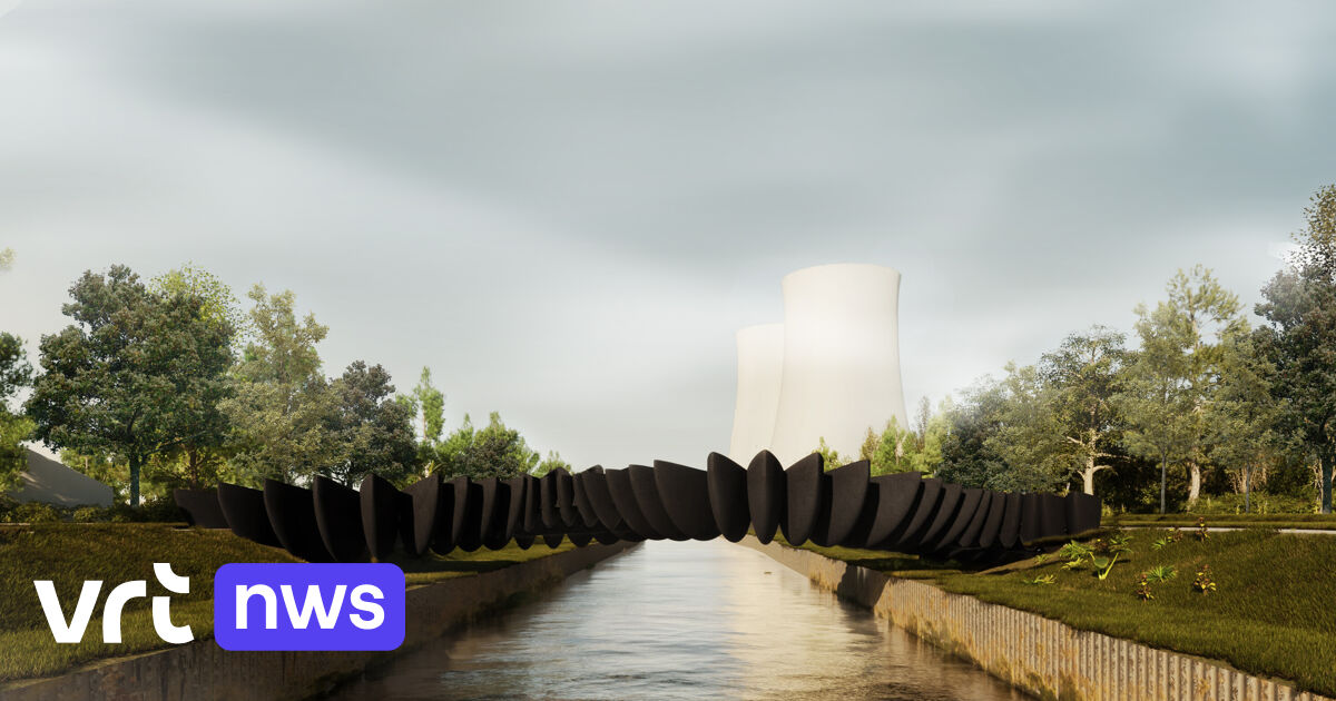 Van de Congo-rivier naar de Zenne: voetgangersbrug in Vilvoorde wordt ...