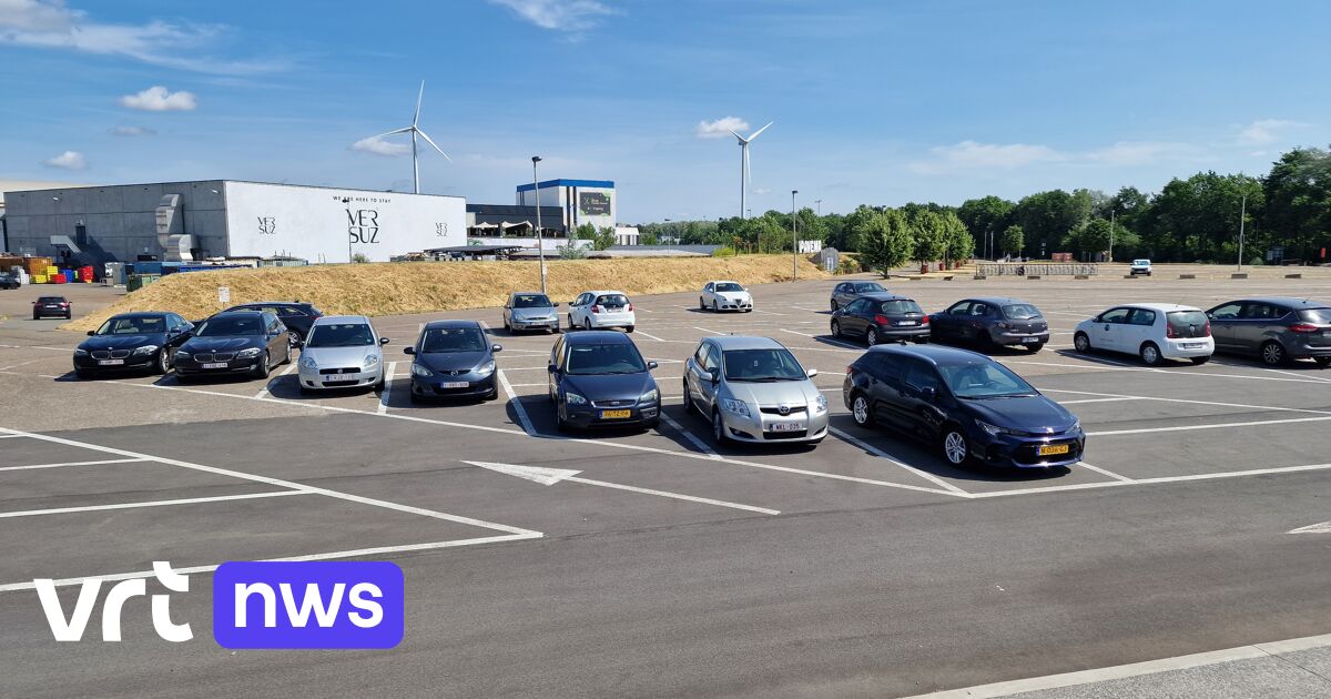 Man krijgt 14 maanden cel voor "zinloos geweld" tegen agent aan Hasseltse discotheek Versuz ...