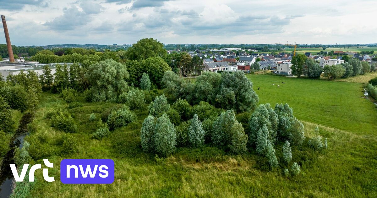 Berg verontreinigd slib in Paddenbroek verdwijnt: "Dit kan niet in een ...