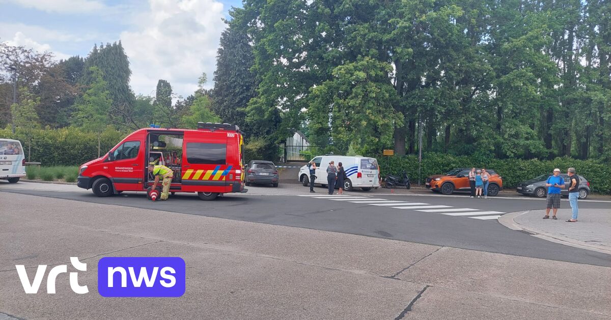 Dochters organiseren zelf zoektocht, lichaam van vermiste moeder teruggevonden in Strombeek ...