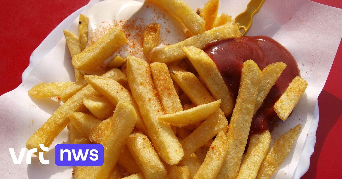 Dieven eten frieten en stelen kleingeld bij chiro in Rijkevorsel | VRT ...