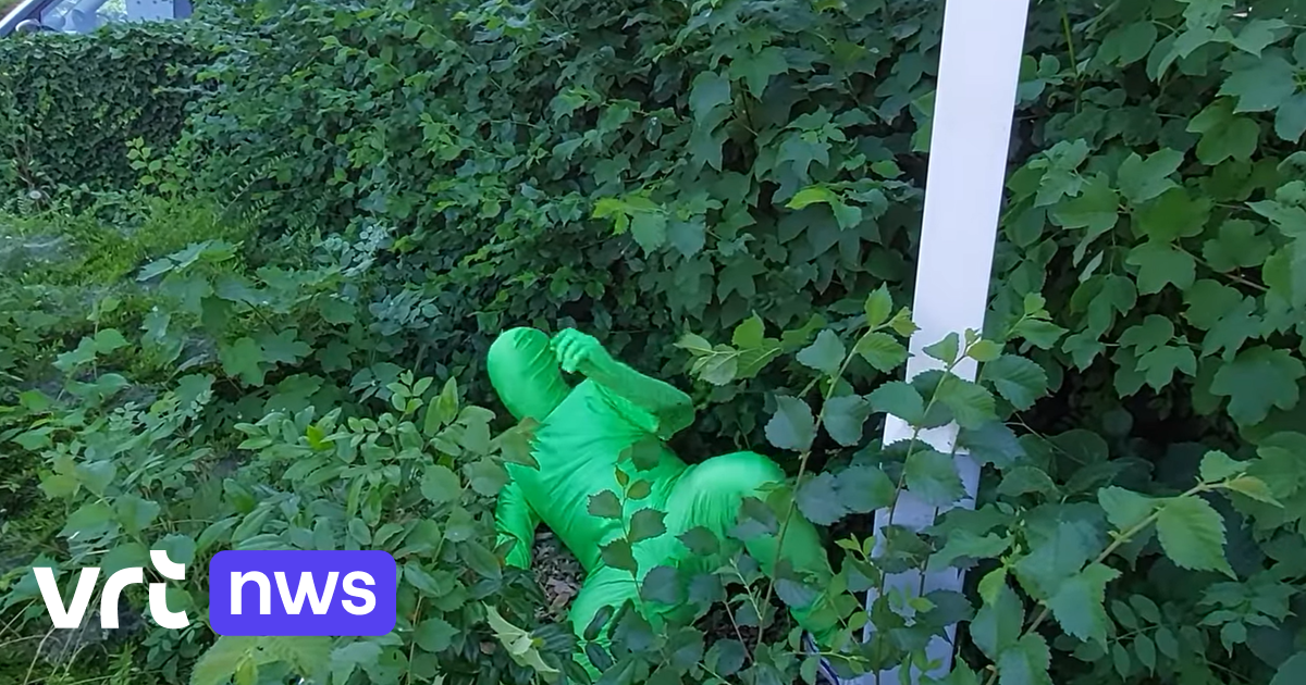 Mysterie van de groene man in Peer opgelost: klimaatcampagne van de ...