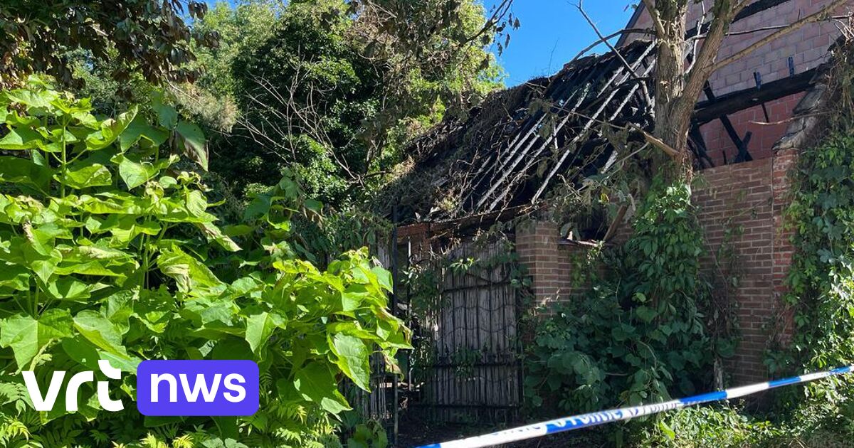 Pyromaan opgepakt die in het centrum van Balen vier leegstaande huizen ...