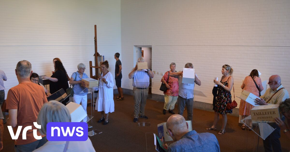 Bekende Vlamingen stellen haiku's en kijkdozen tentoon in Deinze: "Mijn ...