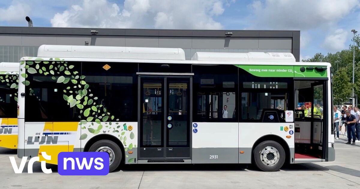 Nieuwe, kleinere elektrische bussen voorgesteld die door Brugs ...