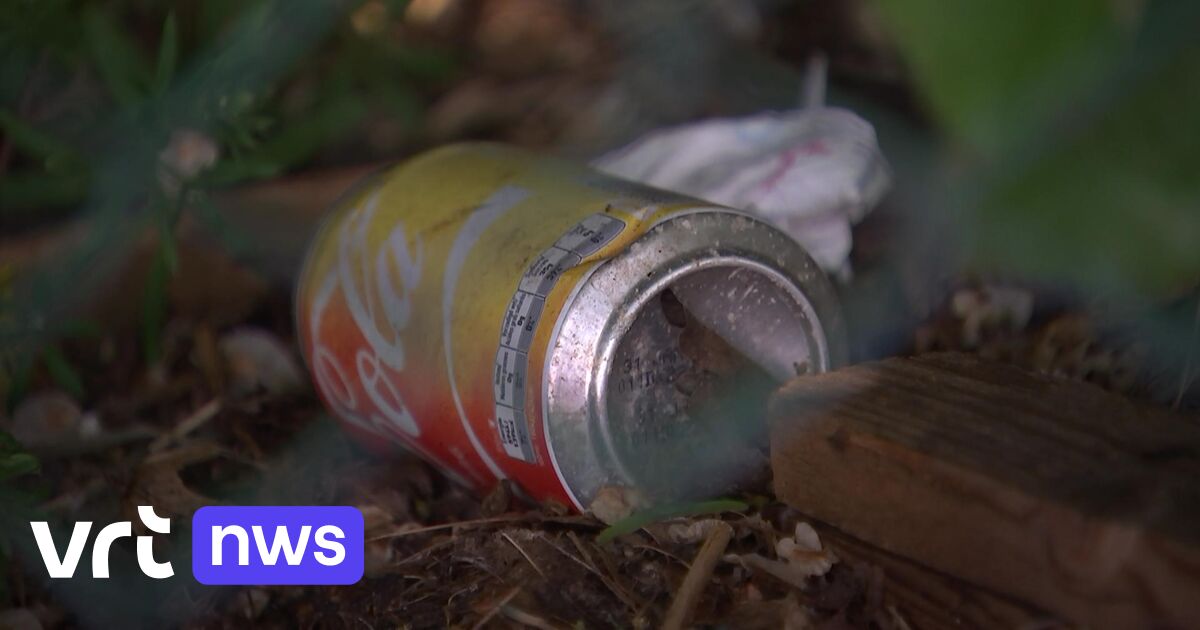 Statiegeld in strijd tegen zwerfvuil: blikjes en plastic flessen ...